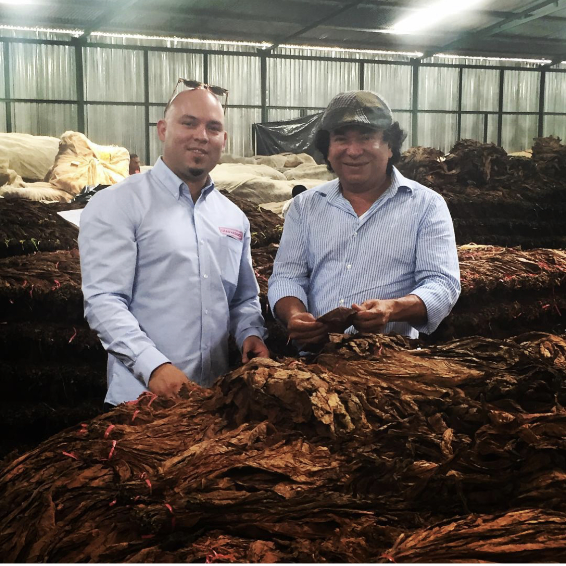 The Gran Habano Legacy - Gran Habano Cigars